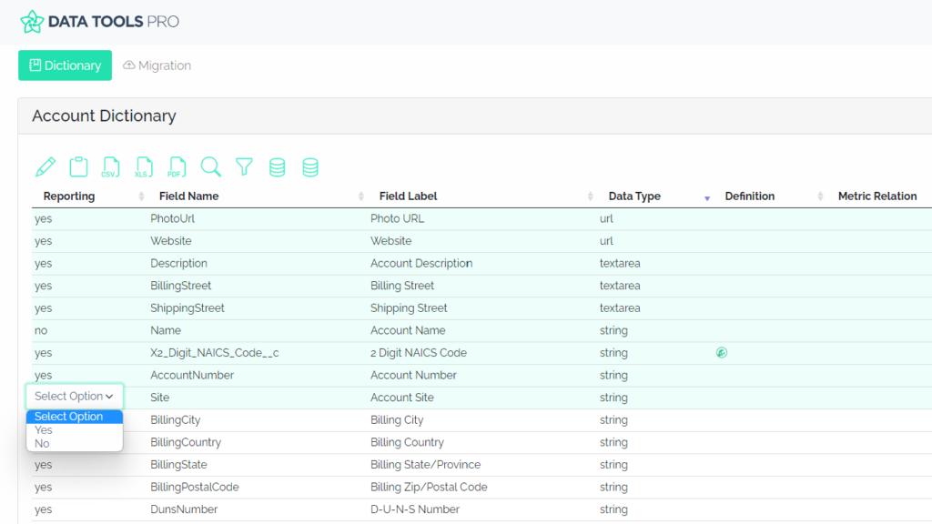 Smart Salesforce Dictionary For Report and Metrics Mapping